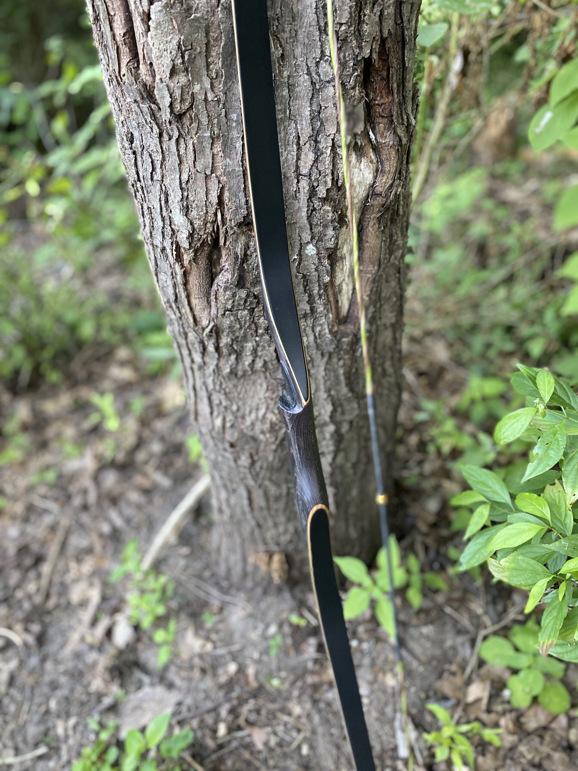 Arcadia Longbow - Kalamazoo Bow Works