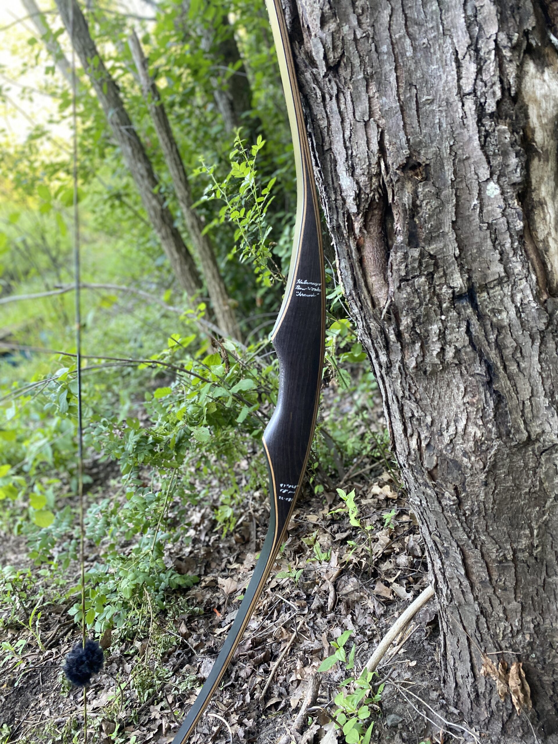 Arcadia Longbow - Kalamazoo Bow Works